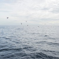 Hannah Booth – Writer, editor and linguist